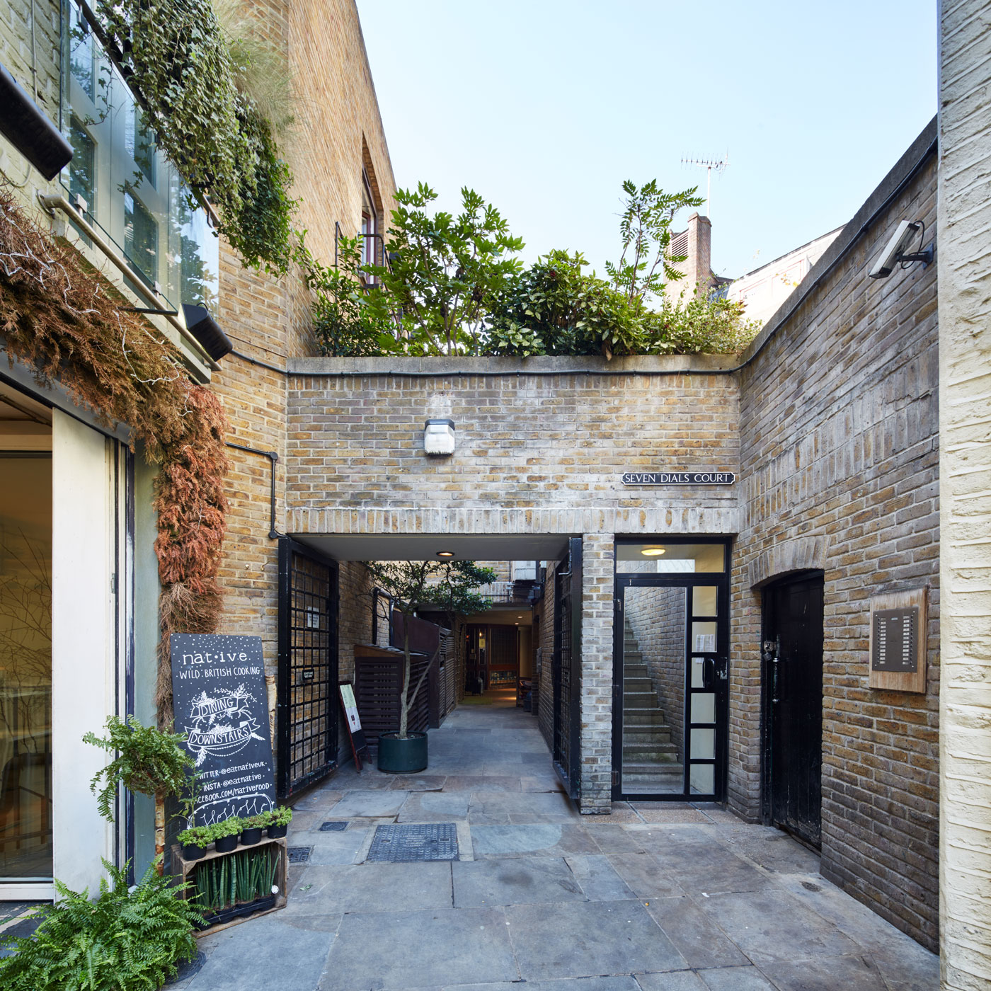 Nos. 1-3 (consec), Neal’s Yard — Seven Dials Covent Garden Study